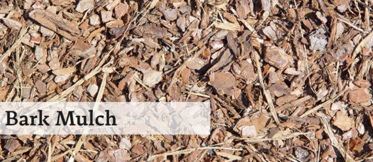 12 Types of Mulch that You Can Use In Your Garden