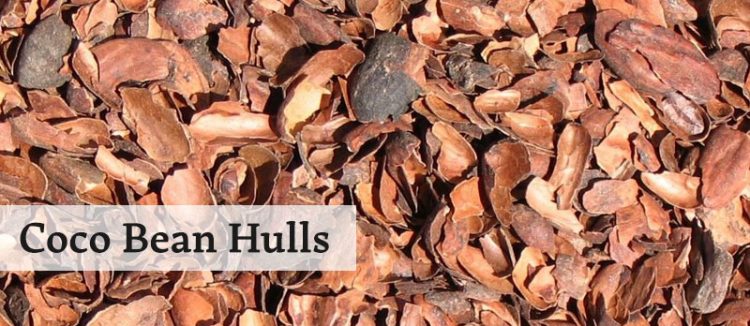 12 Types of Mulch that You Can Use In Your Garden