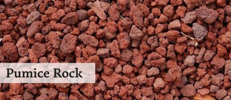 12 Types of Mulch that You Can Use In Your Garden