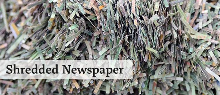 12 Types of Mulch that You Can Use In Your Garden