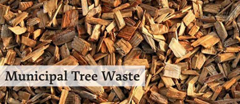 12 Types of Mulch that You Can Use In Your Garden