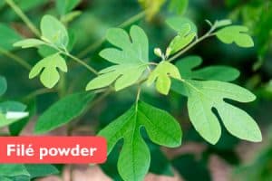 50 Inspiring Herbs and Spices To Try Growing At Home