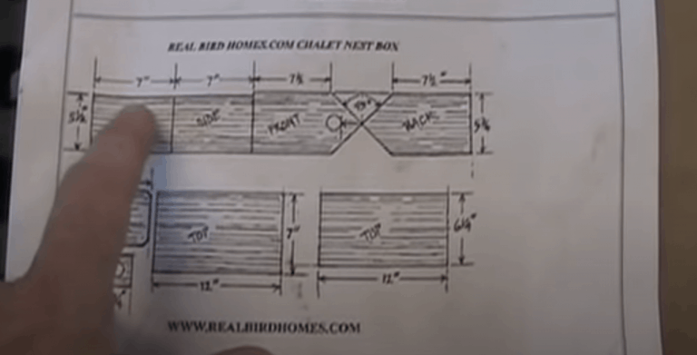 12 Simple DIY Bird House Plans - Easy To Build From One Board